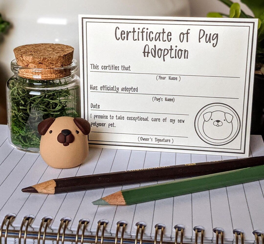 Adopt a Pug Desk Pet, Cute Mini Pug, Clay Pug, Pug in Jar, Pug Gift - Etsy