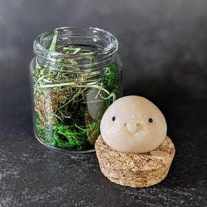 Adopt a Glitter Rock Desk Pet - Etsy