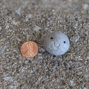 Adopt a Mini Rock Desk Pet - Etsy