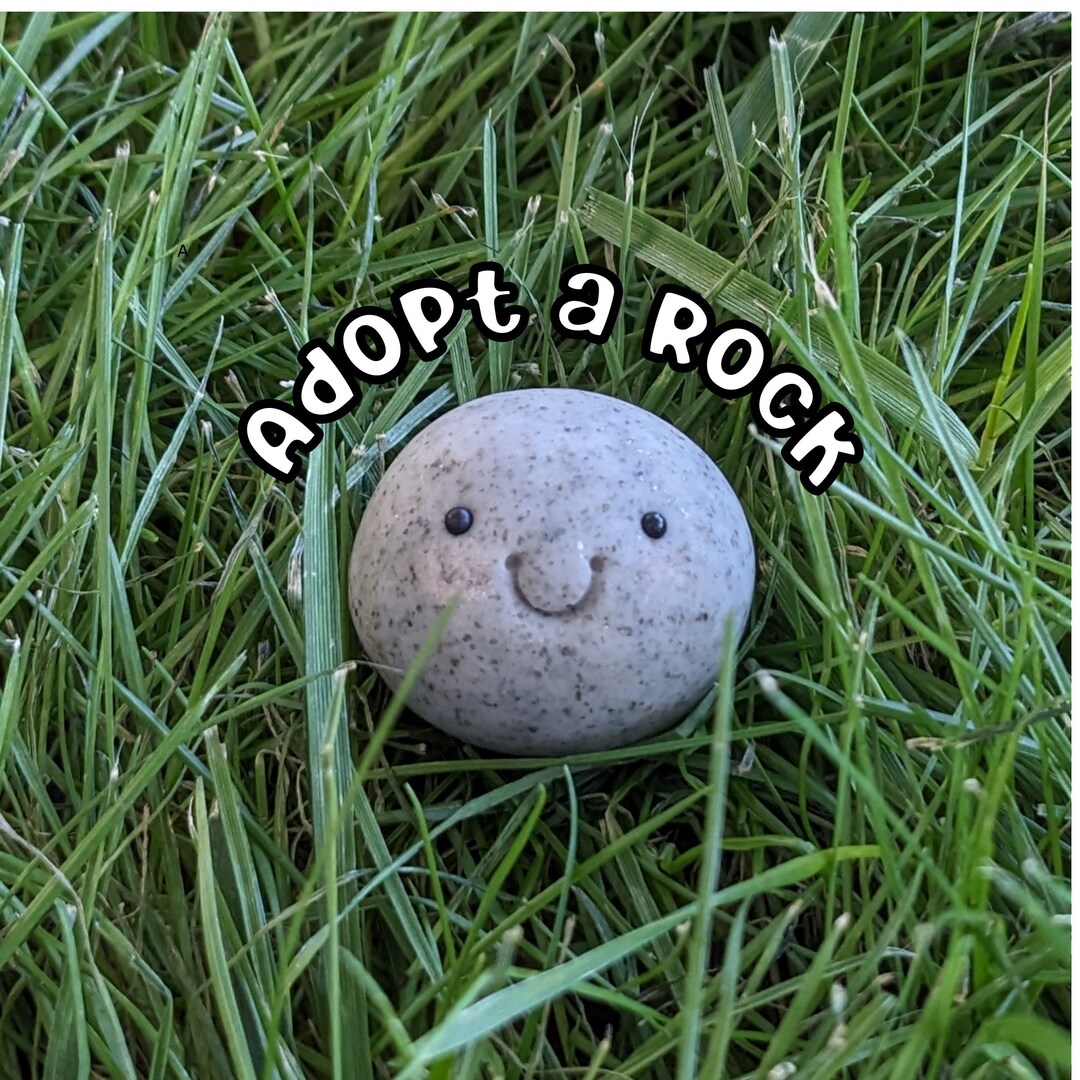 Adopt a Mini Rock Desk Pet - Etsy
