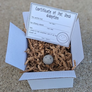 Adopt a Mini Rock Desk Pet - Etsy