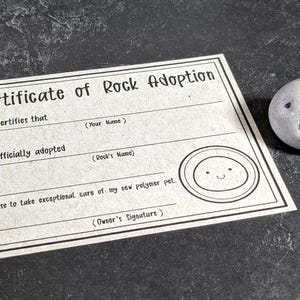 Adopt a Mini Rock Desk Pet - Etsy