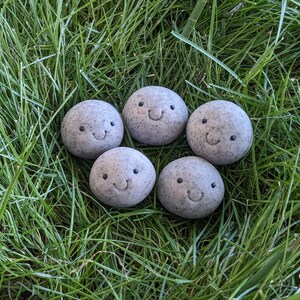 Adopt a Mini Rock Desk Pet - Etsy