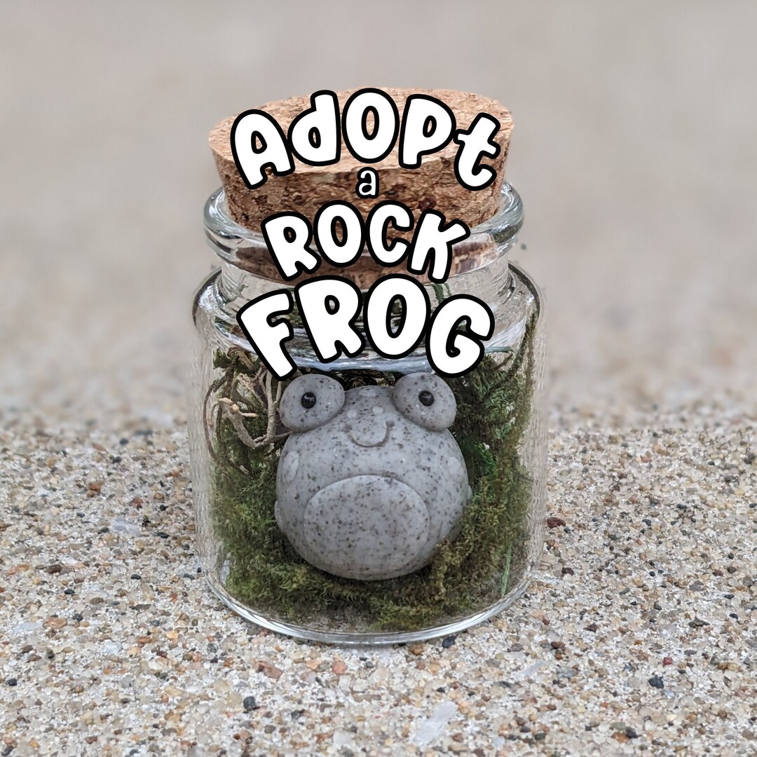 Adopt a Rock Frog Desk Pet - Etsy