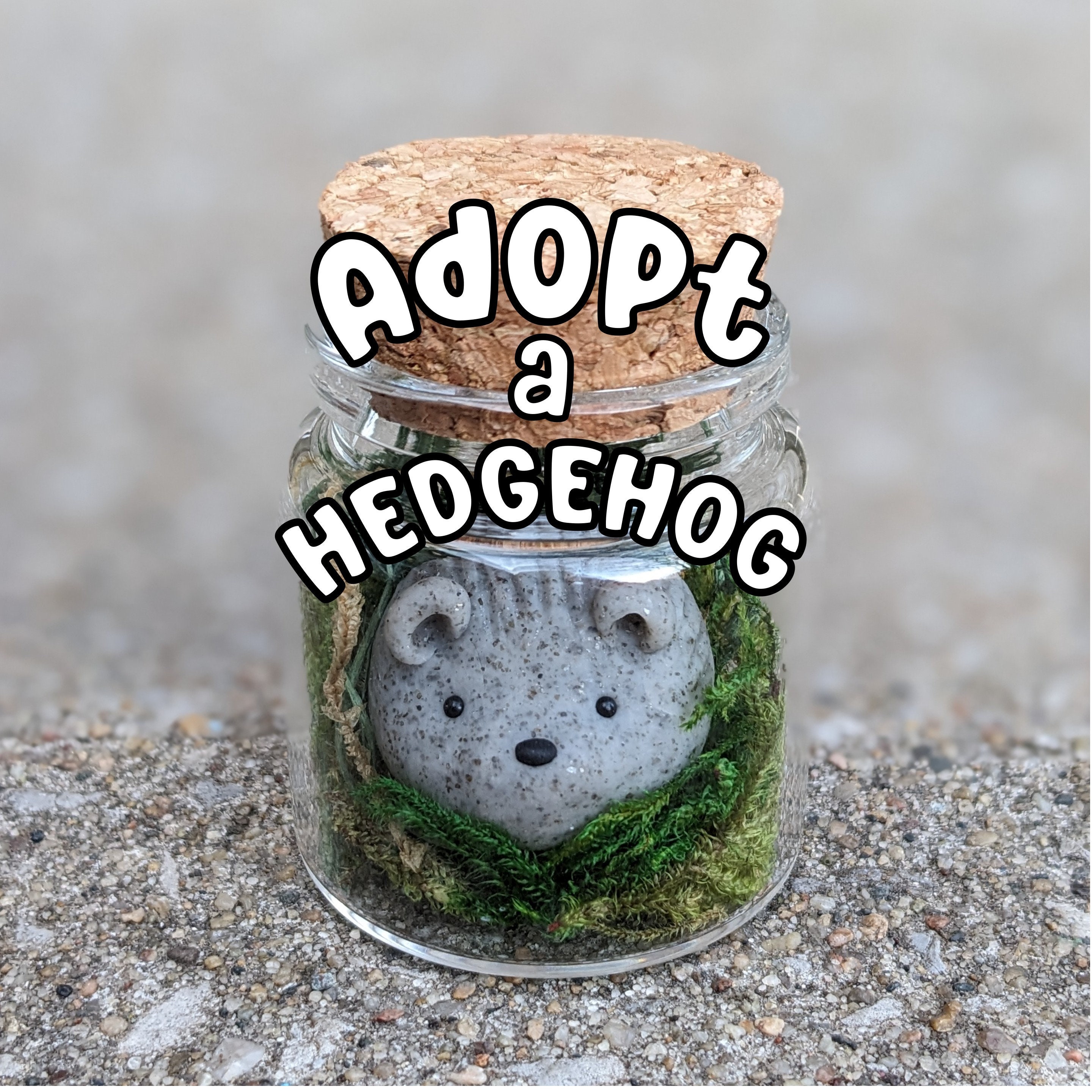 Hedgehog Rock Art - Etsy