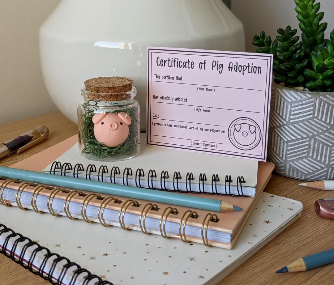 Adopt a Pig Desk Pet - Etsy