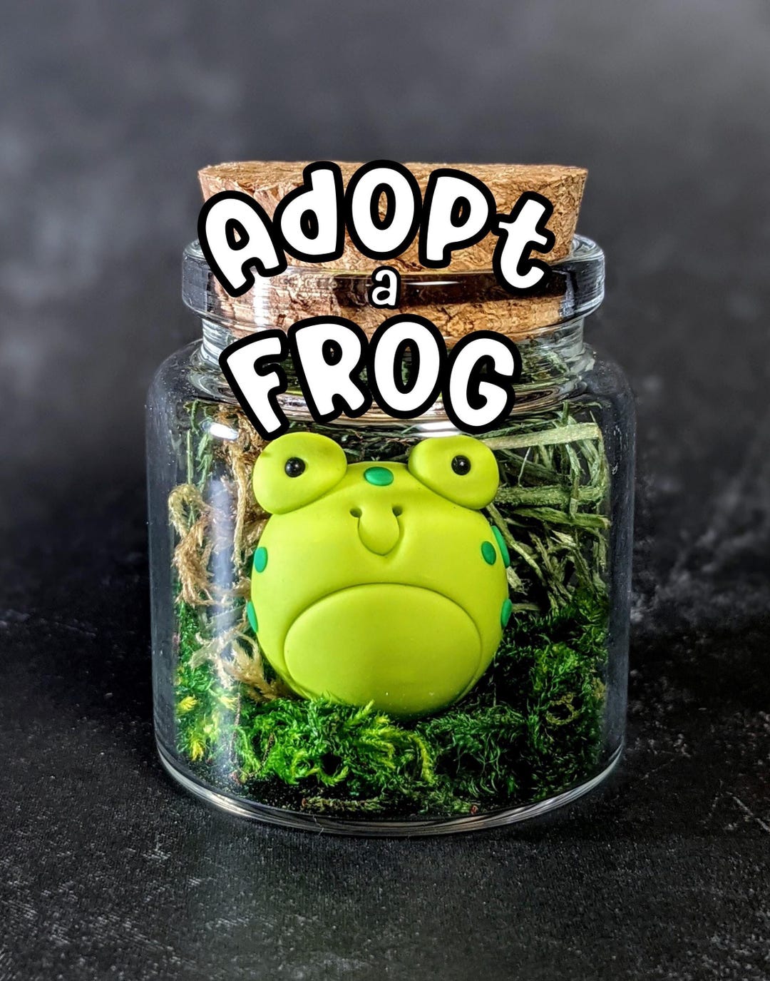 Adopt a Frog Desk Pet - Etsy