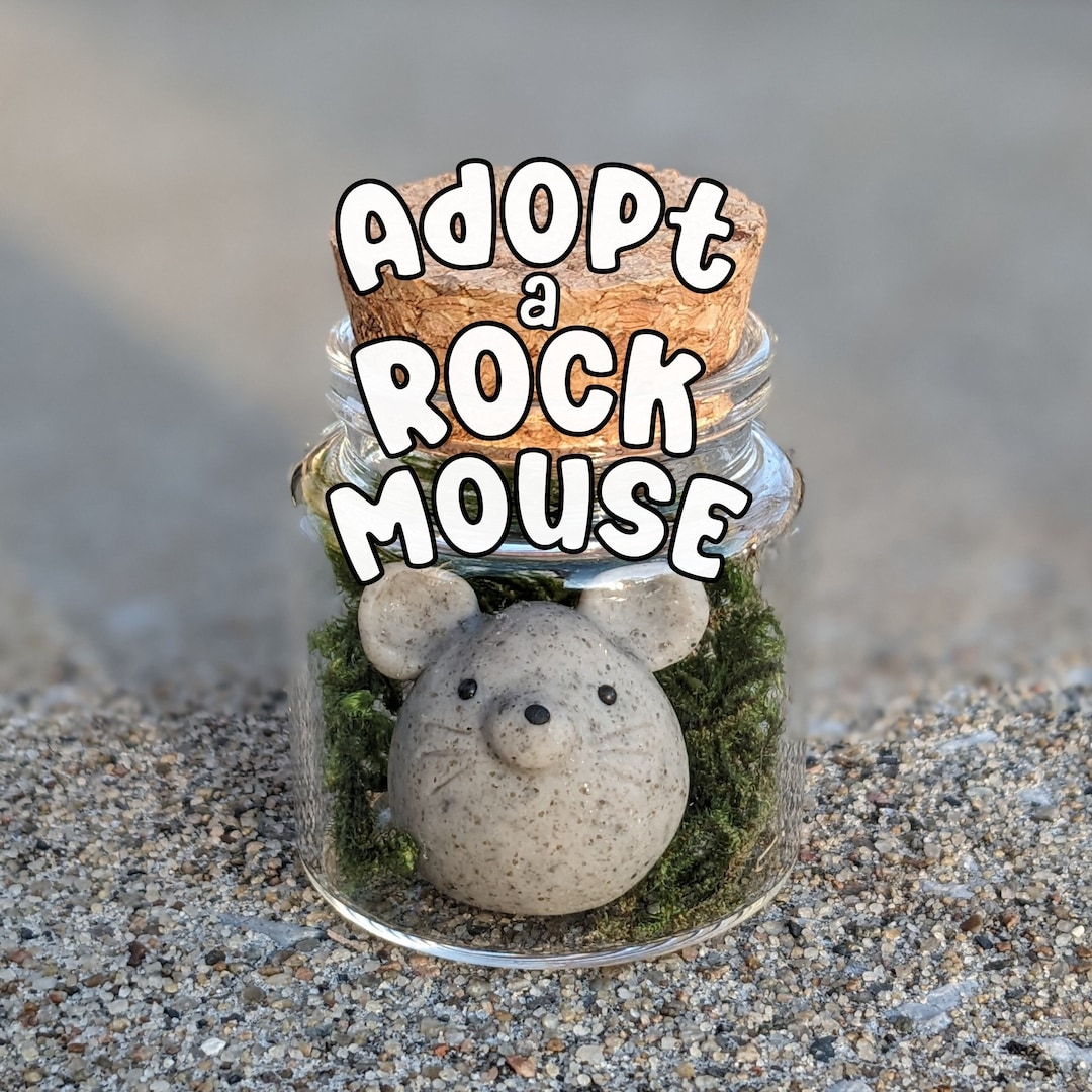 Adopt a Rock Mouse Desk Pet - Etsy