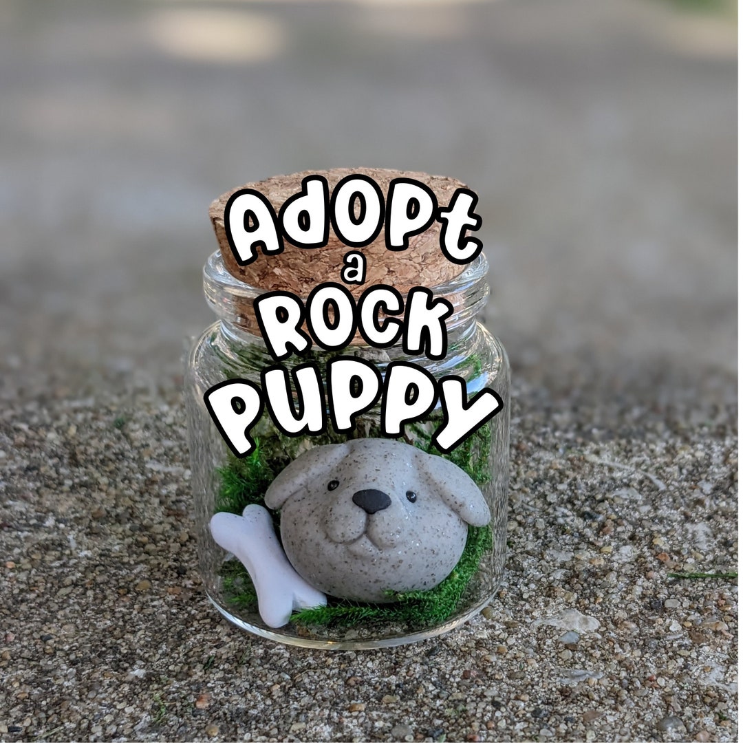 Adopt a Rock Puppy Desk Pet - Etsy