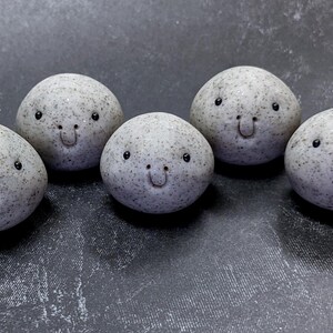 Adopt a Mini Rock Desk Pet - Etsy