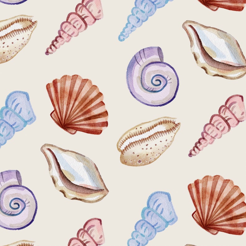 Seashells Watercolor Clipart Collection - Etsy