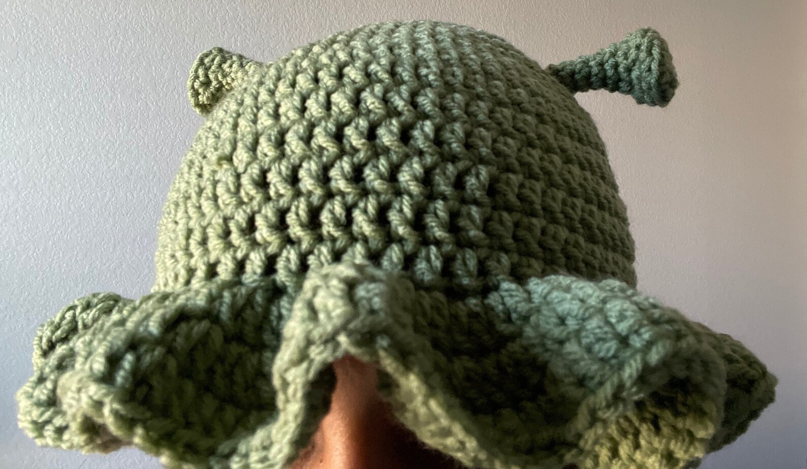 Fiona/shrek Crochet Ruffle Bucket Hat/ Shrek Coplay/ Ogre Hat/ Shrek ...