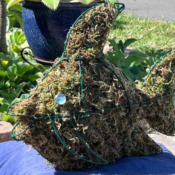 Wire Topiary Frame - Etsy