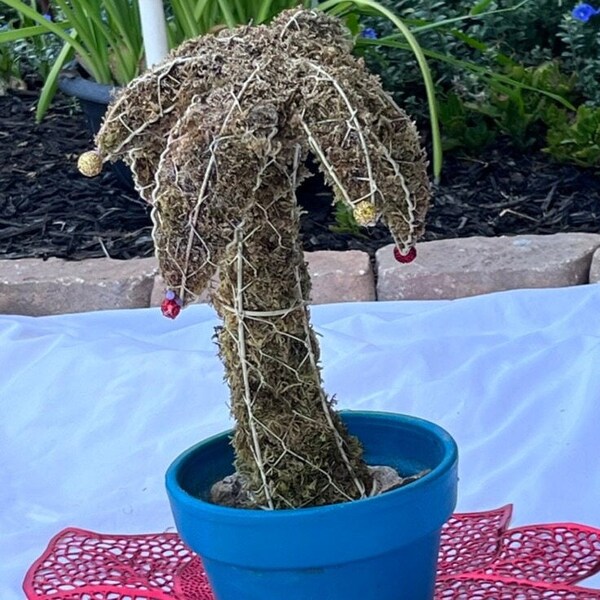 Metal Topiary Frames - Etsy