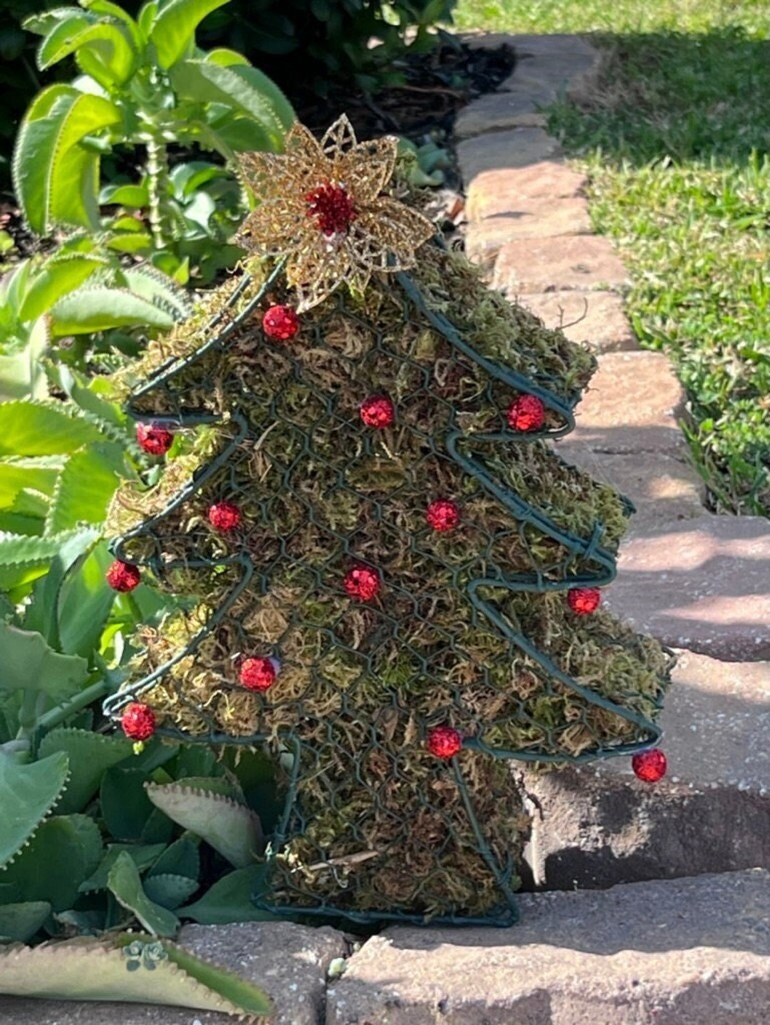 Christmas Tree Topiary, Topiary Art Frames, Moss Topiary, Wire Frame ...