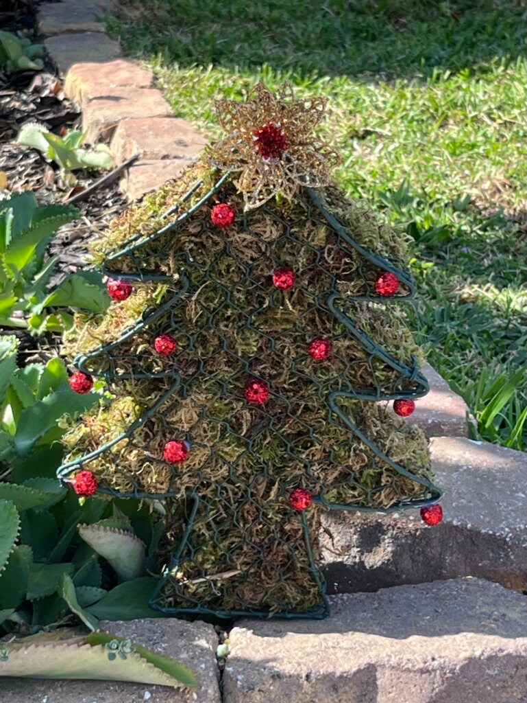 Christmas Tree Topiary, Topiary Art Frames, Moss Topiary, Wire Frame ...