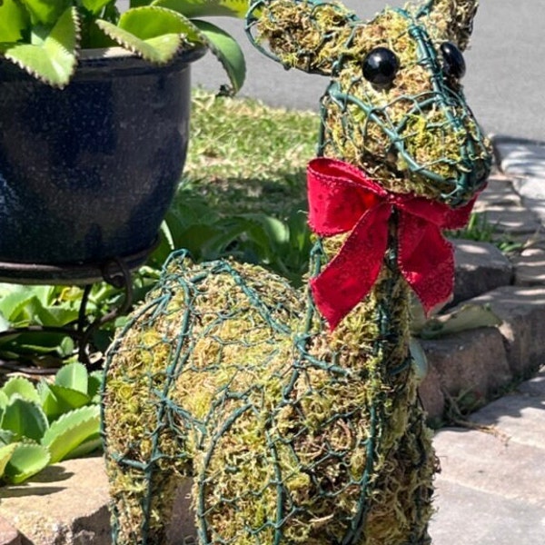 Topiary Frames - Etsy