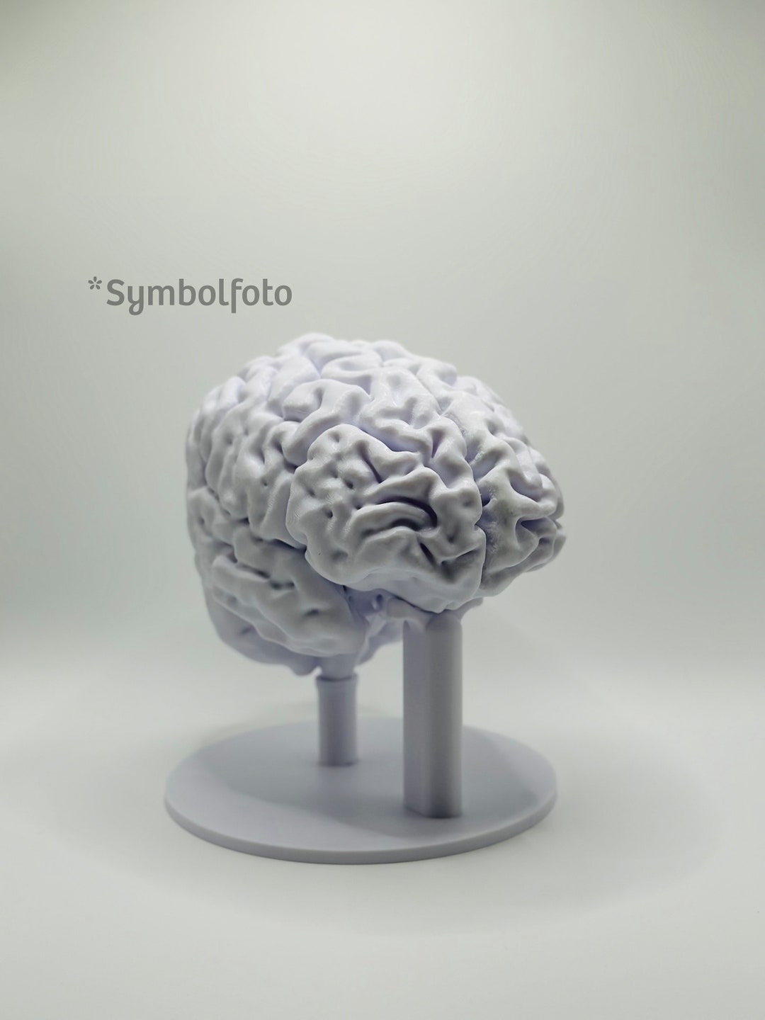 Personalized 3D Printing of Your Own Life-size Brain | MRI Data ...