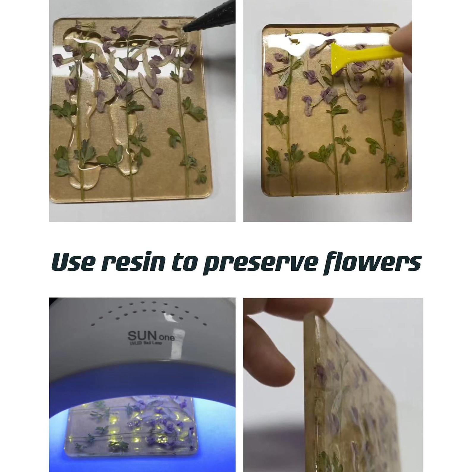 Handmade Real Wild Flower Night Light, Floral Light Plug In, Floral ...