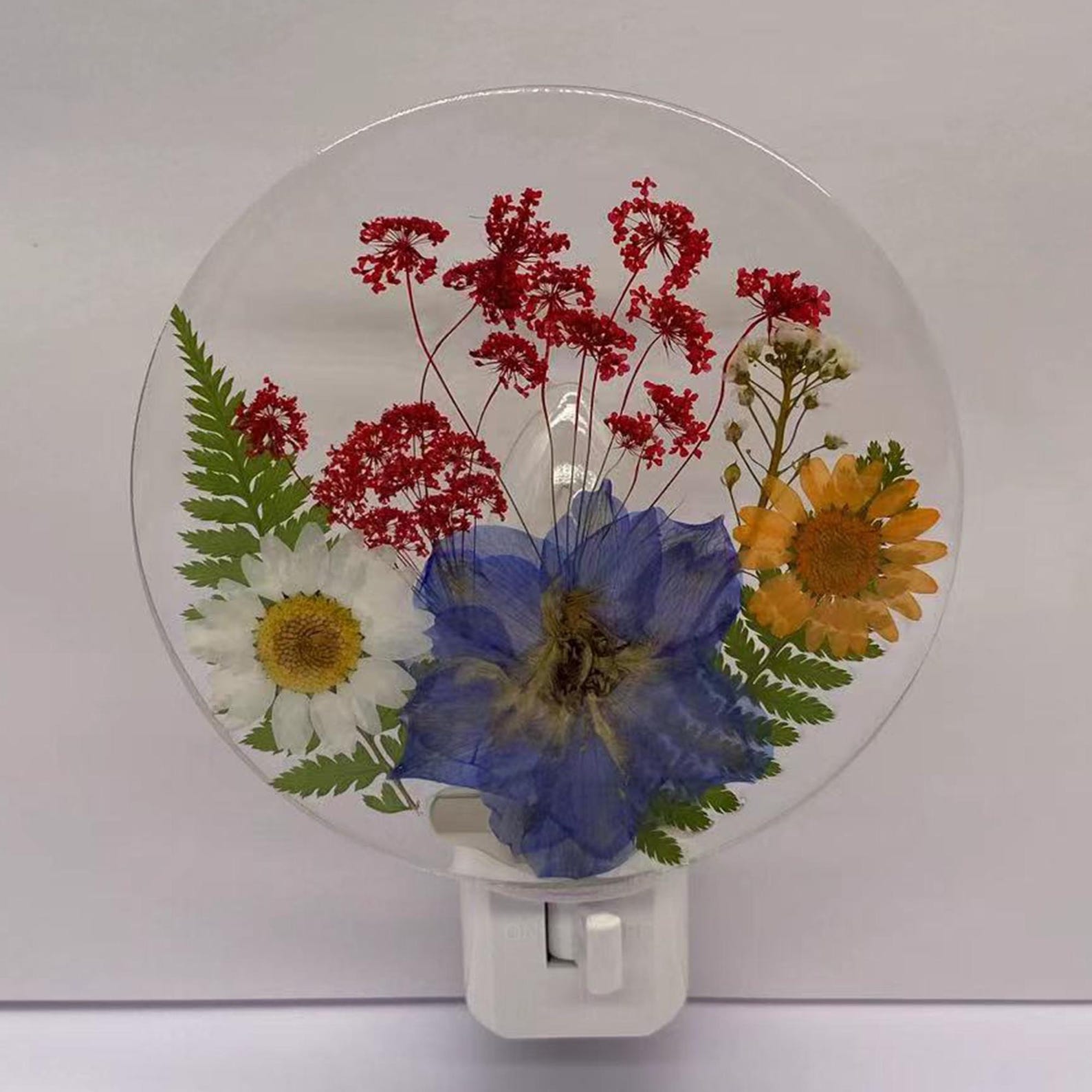 Handmade Real Press Flower Nightlight, Wild Flower Night Light for ...