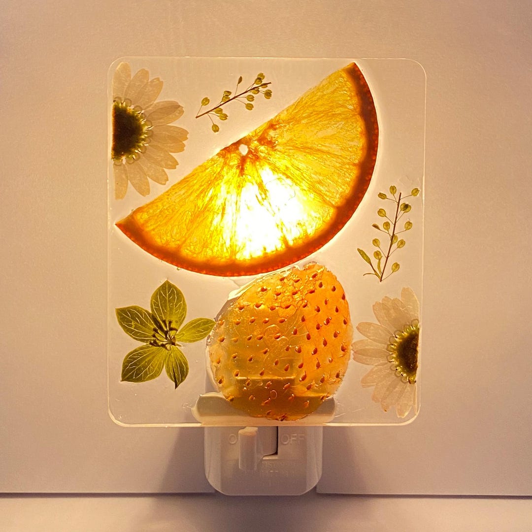 Handmade Dry Fruit Nightlights, Strawberries Orange Night Lamp, Cute ...