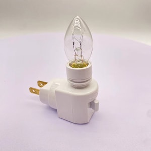 Handmade Real Press Flower Nightlight, Wild Flower Night Light for ...