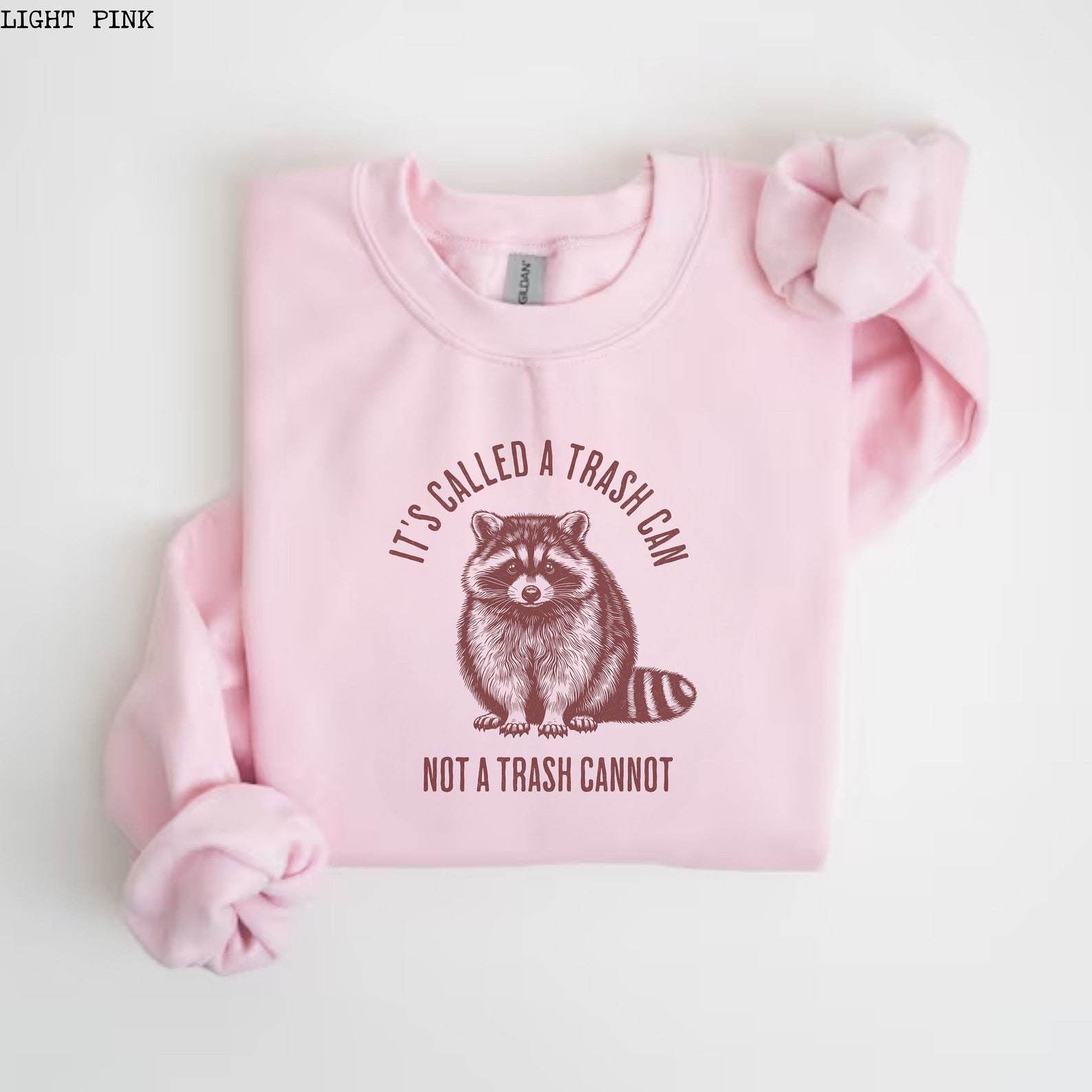 It's Called a Trash Can Not a Trash Cannot Funny Raccoon Sweatshirt ...