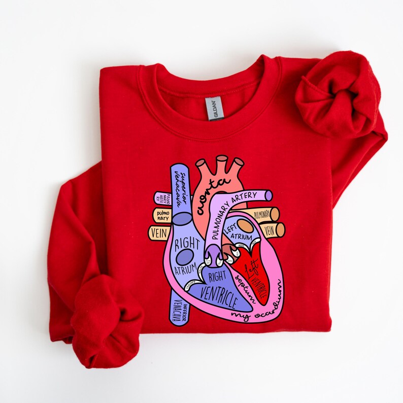 Heart Anatomy Sweatshirt, Cardiac Nursing Gift, Nursing School Shirt ...