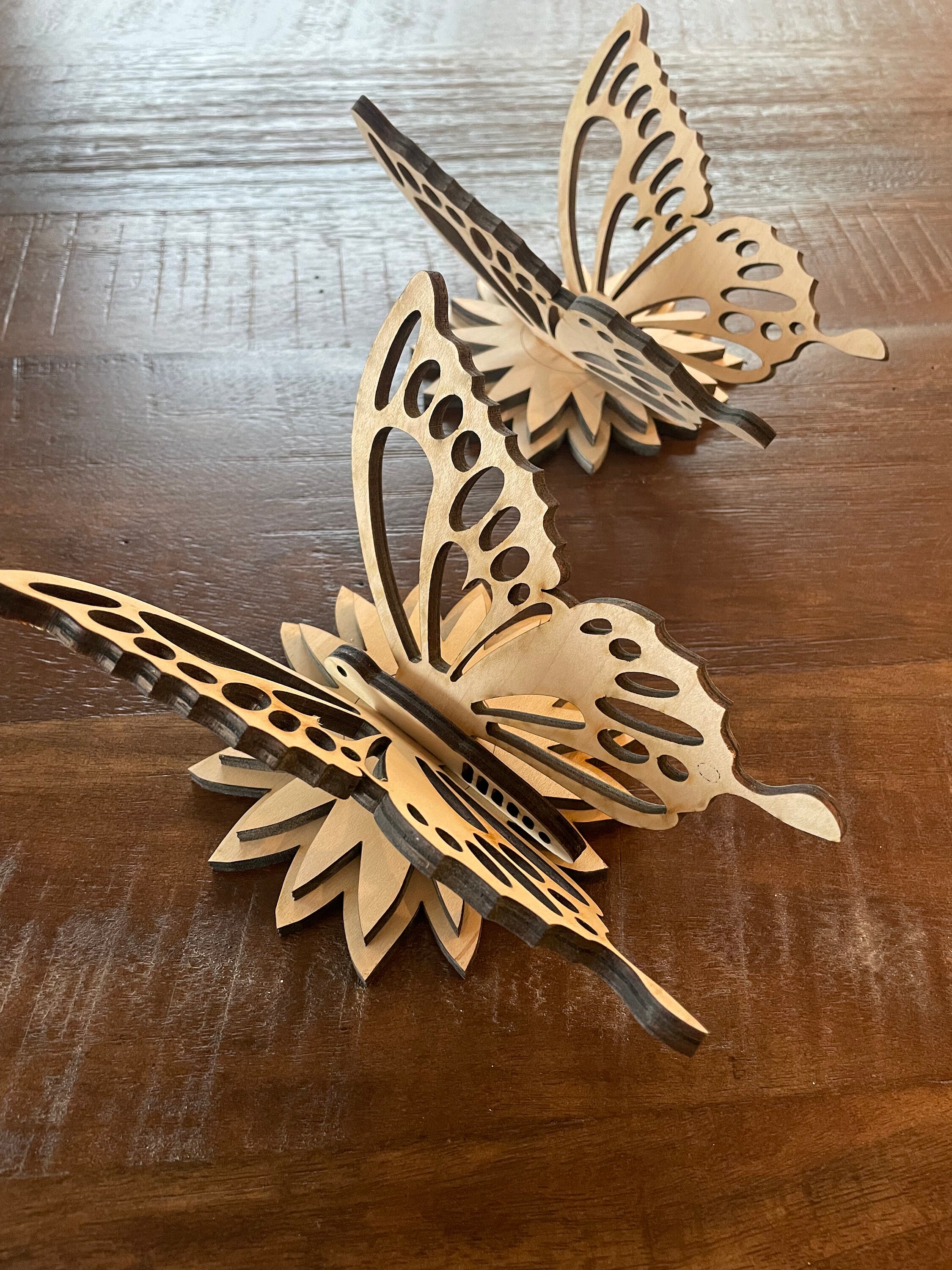 Butterfly a Symbol of Good Luck, Transformation, Rebirth, a Guardian ...
