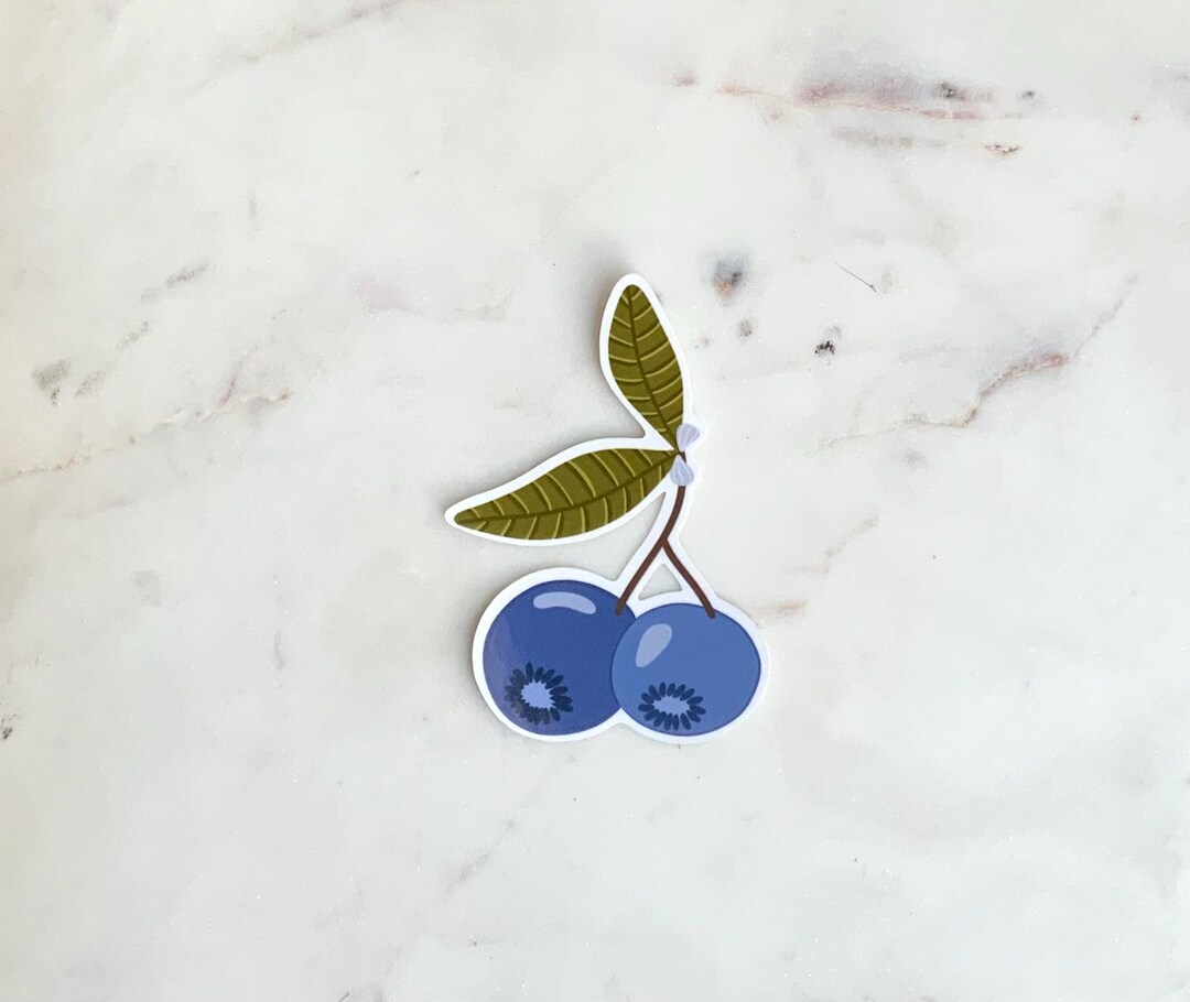 Blueberry Bunch Sticker | Fruit Stickers | Summer Stickers | Blueberry ...