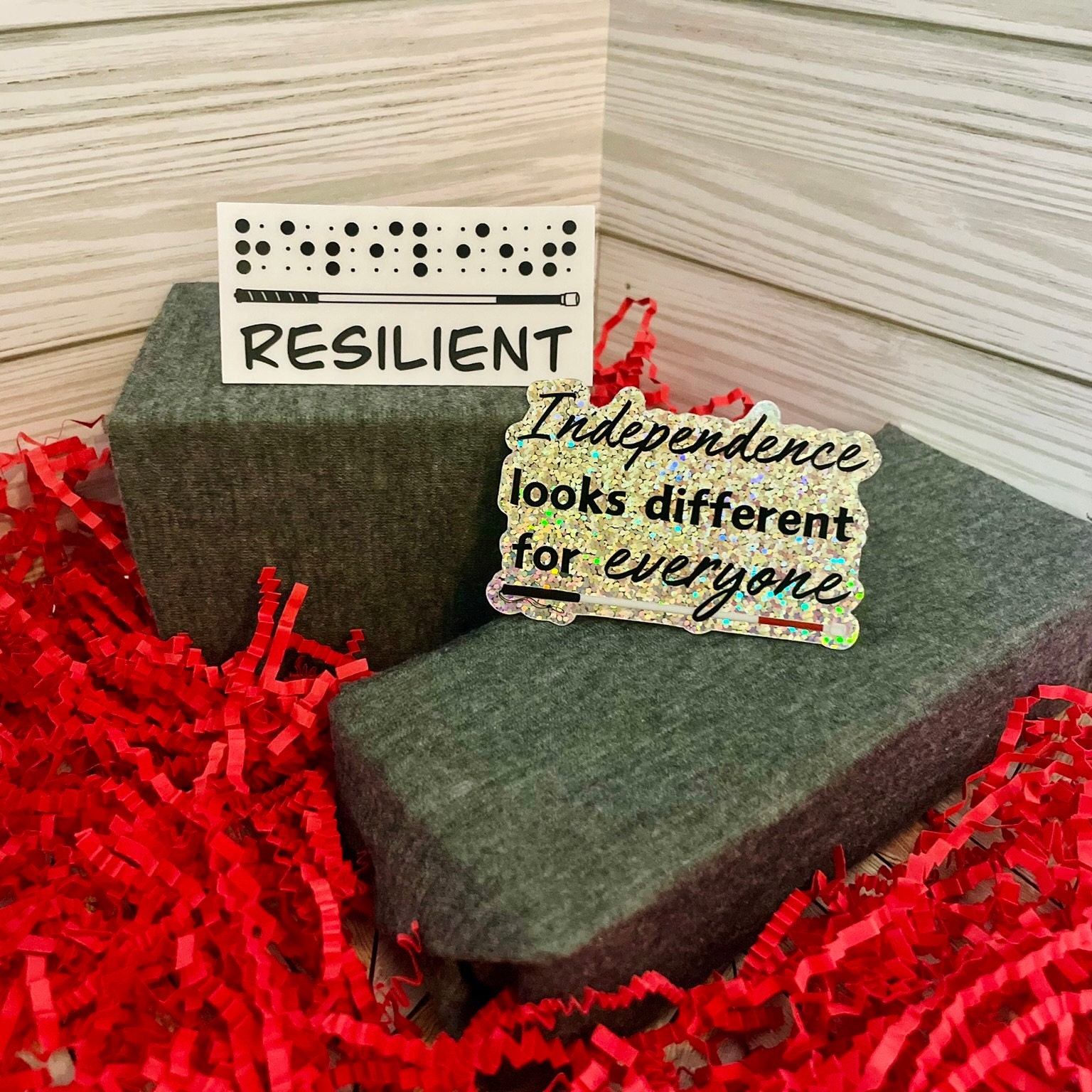 Teacher of Visual Impairments Gift, TVI Starter Pack, Braille Stickers ...