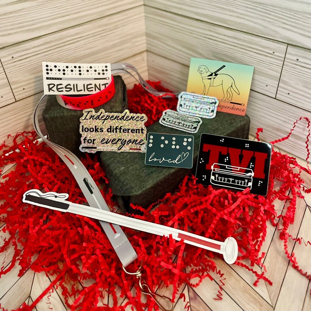 Teacher of Visual Impairments Gift, TVI Starter Pack, Braille Stickers ...