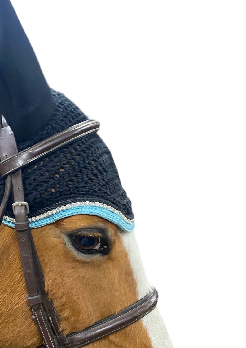 Pony Fly Bonnet, Pony Jumpers / Dressage, Fly Veil, Pony Ear Bonnet ...