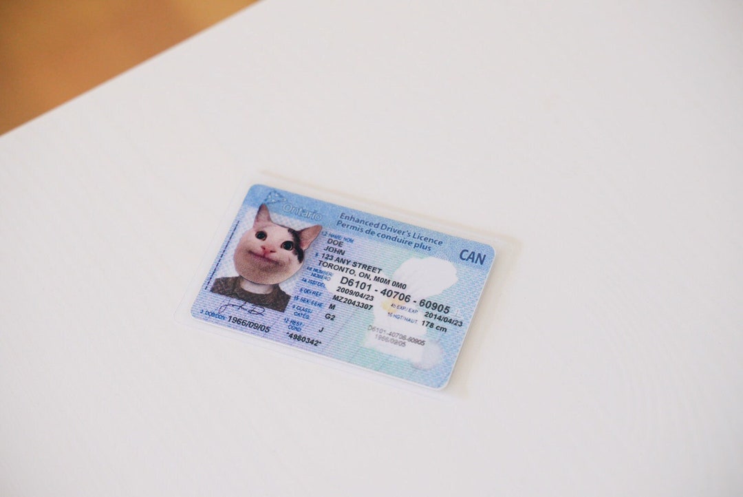 Funny ID Card Holder-transform Your License Photomeme Polite Cat ...