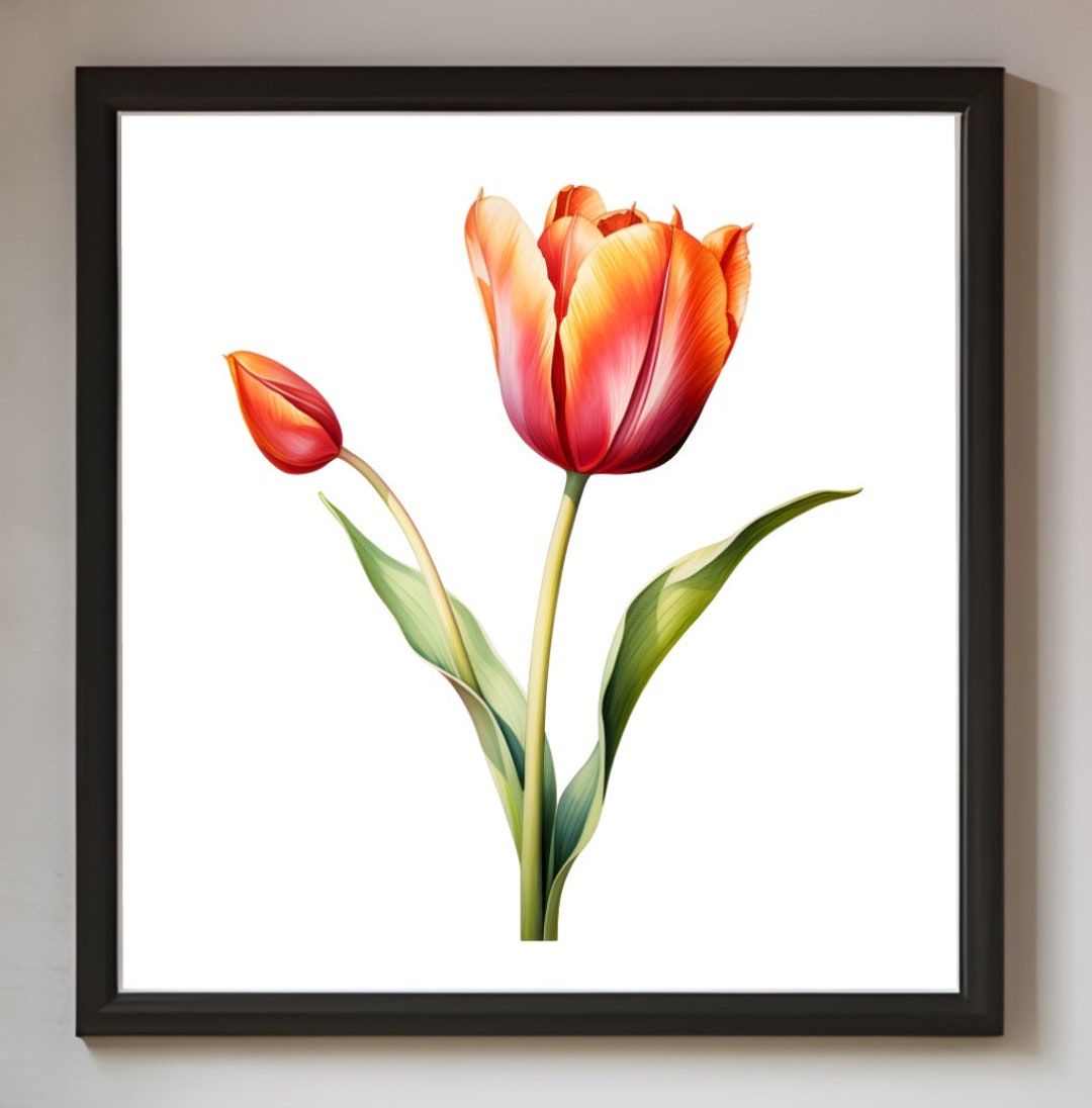 Tulip, Plants Poster, Plants Art, Plant Print, Plants Wall Art ...