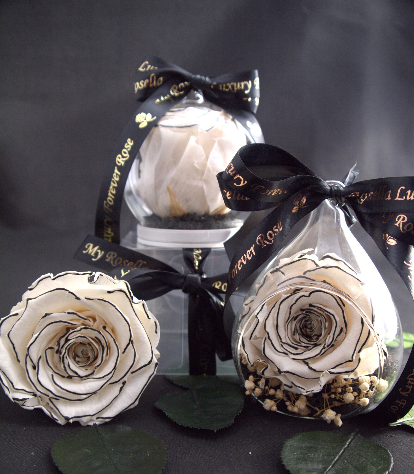 Rosella’s Tear of Opulence Zebra Eternity Rose,perfect Valentines Gift ...