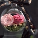 2 Real Eternal Rose in Glass Ball Perfect Valentines Gift, Anniversary ...
