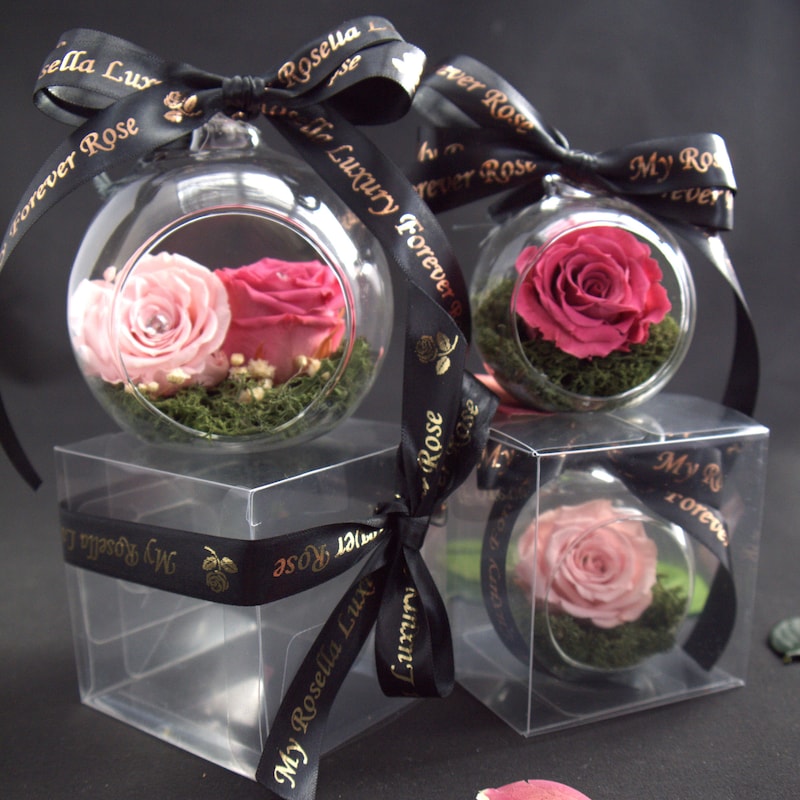 Rose in Water Glass Globe - Etsy