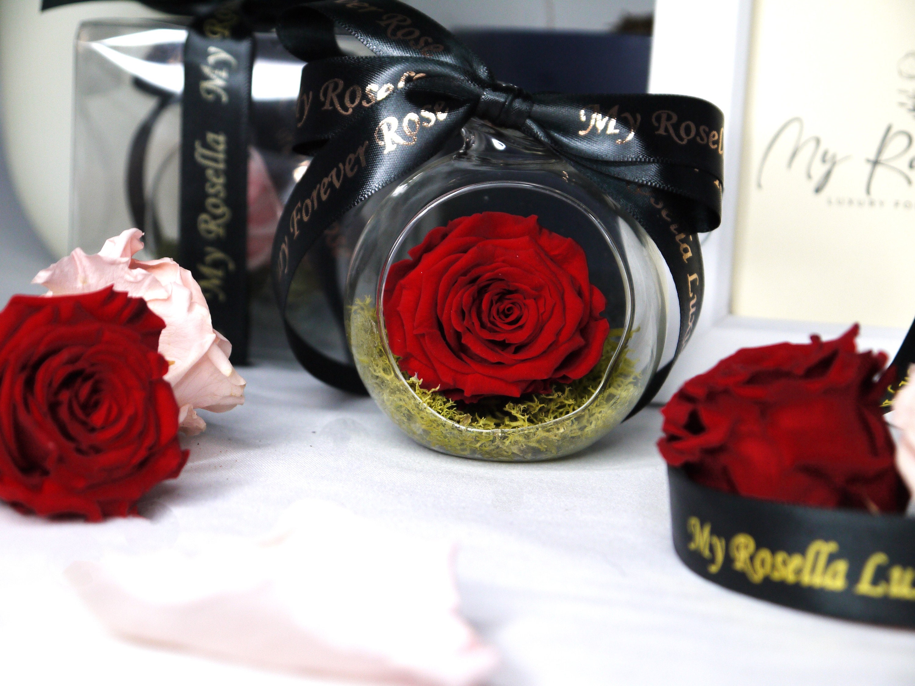 Rose Red Real Eternal Rose in Glass Ball Perfect Valentines Gift ...