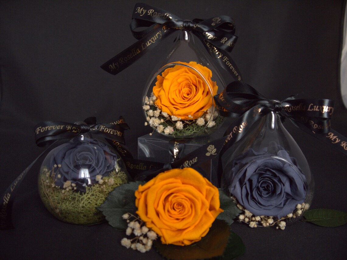 Rosella’s Tear of Opulence Zebra Eternity Rose,perfect Valentines Gift ...