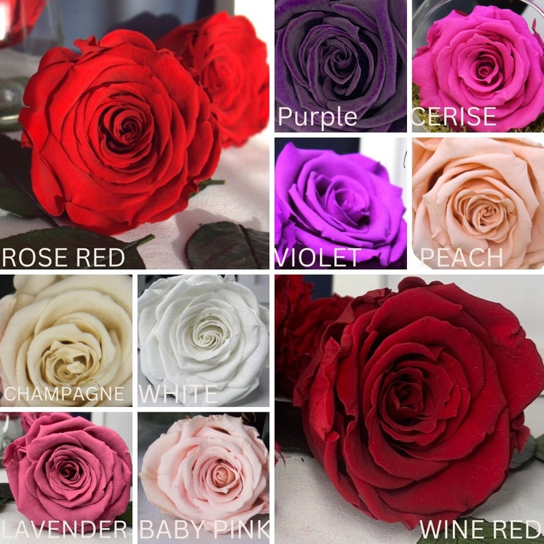 Real Single or Double Eternal Rose in Glass Ball Perfect Valentines ...