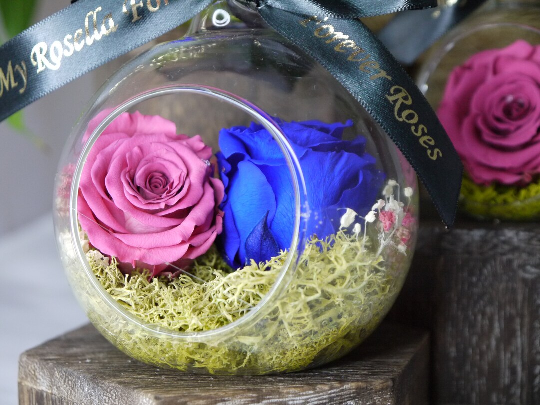 Real Single or Double Eternal Rose in Glass Ball Perfect Valentines ...