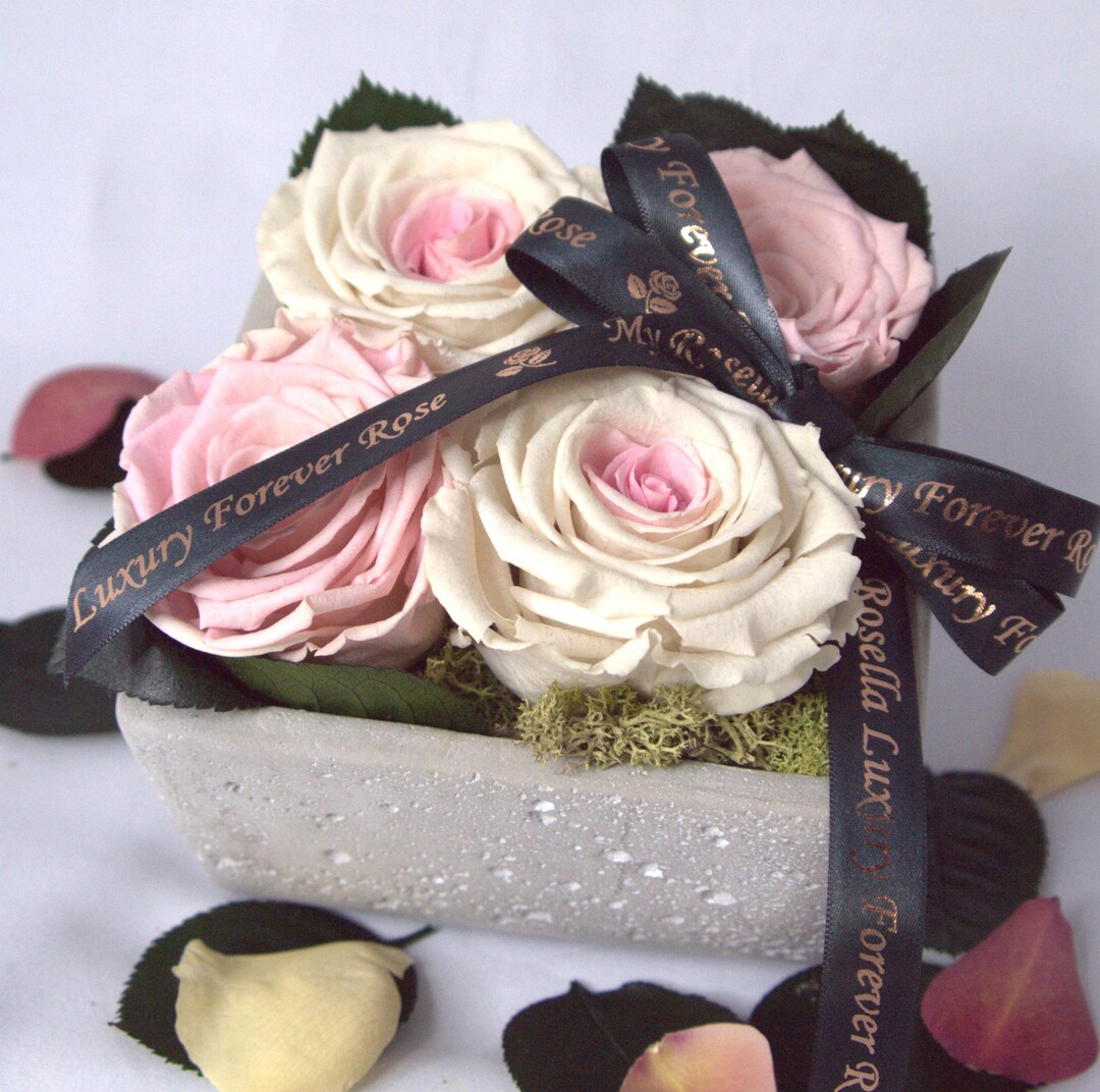 My Rosella’s Concrete Rose Quartet, Mixed, Baby Pink & Pink Kiss ...