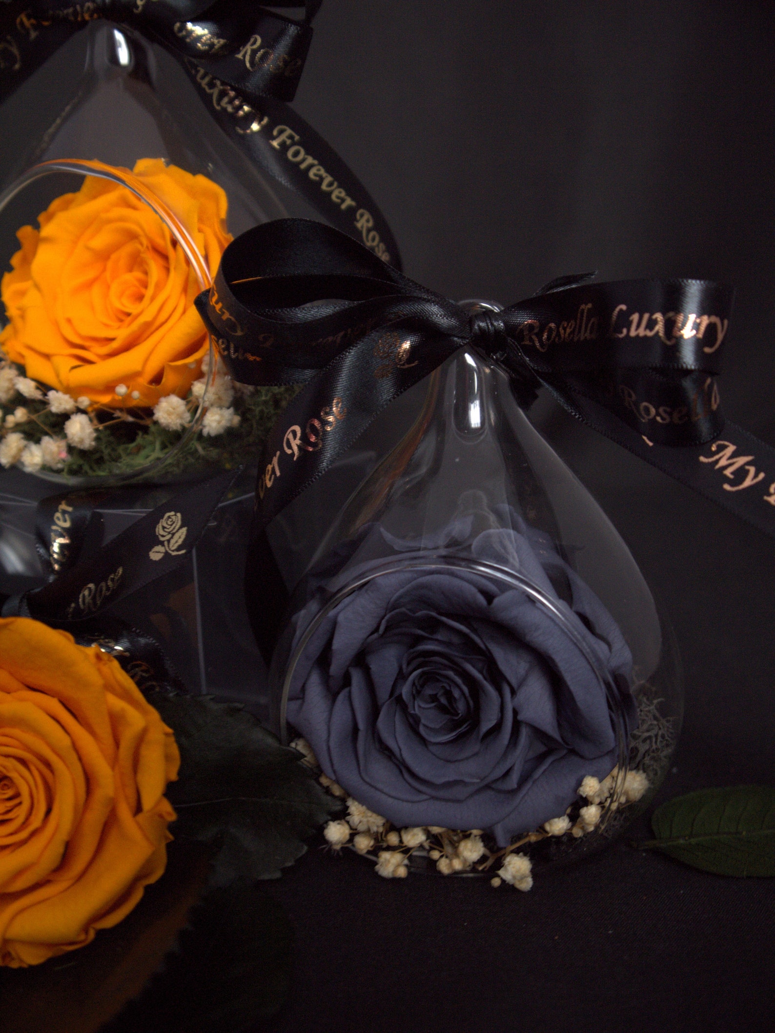 Rosella’s Tear of Opulence Zebra Eternity Rose,perfect Valentines Gift ...