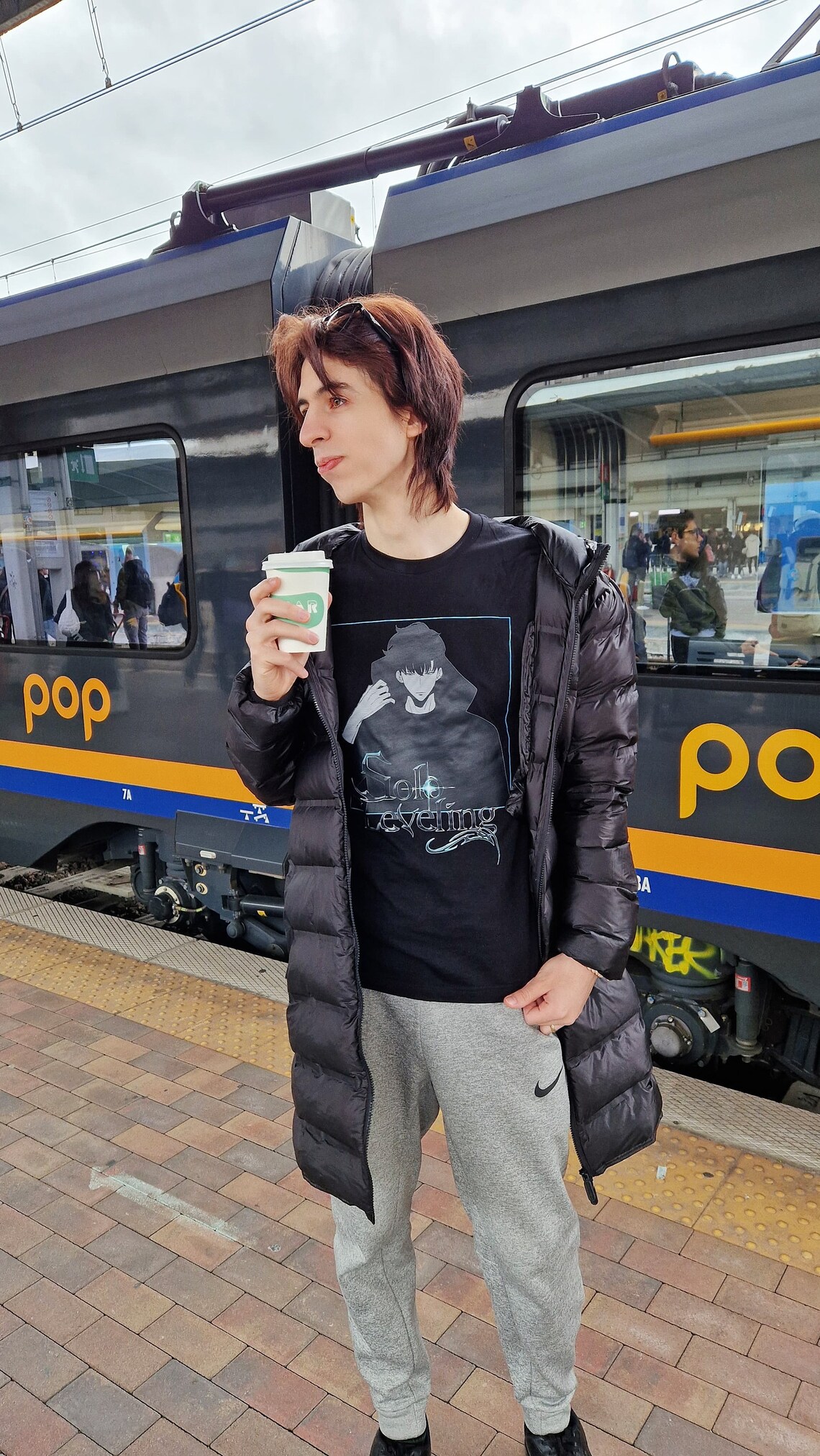 Sung Jinwoo Anime T-shirt, Solo Leveling T-shirt, Jin Woo Anime Shirt ...