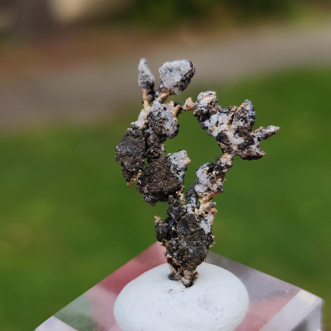 Amazing Tree Like Grow of Silver Crystal From White Pine Mine, Michigan ...