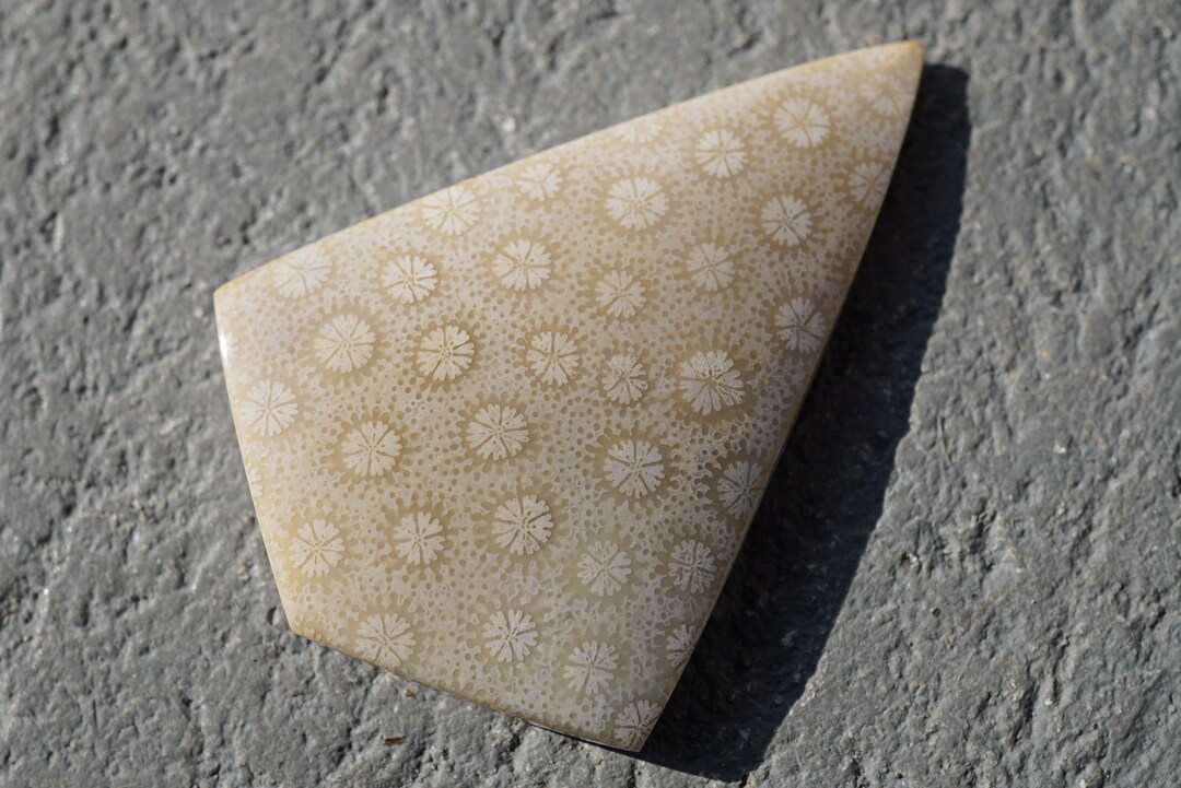 Fossil Coral Cabochon Jewelry Designer Fosil Unique Cabochons Pendant ...