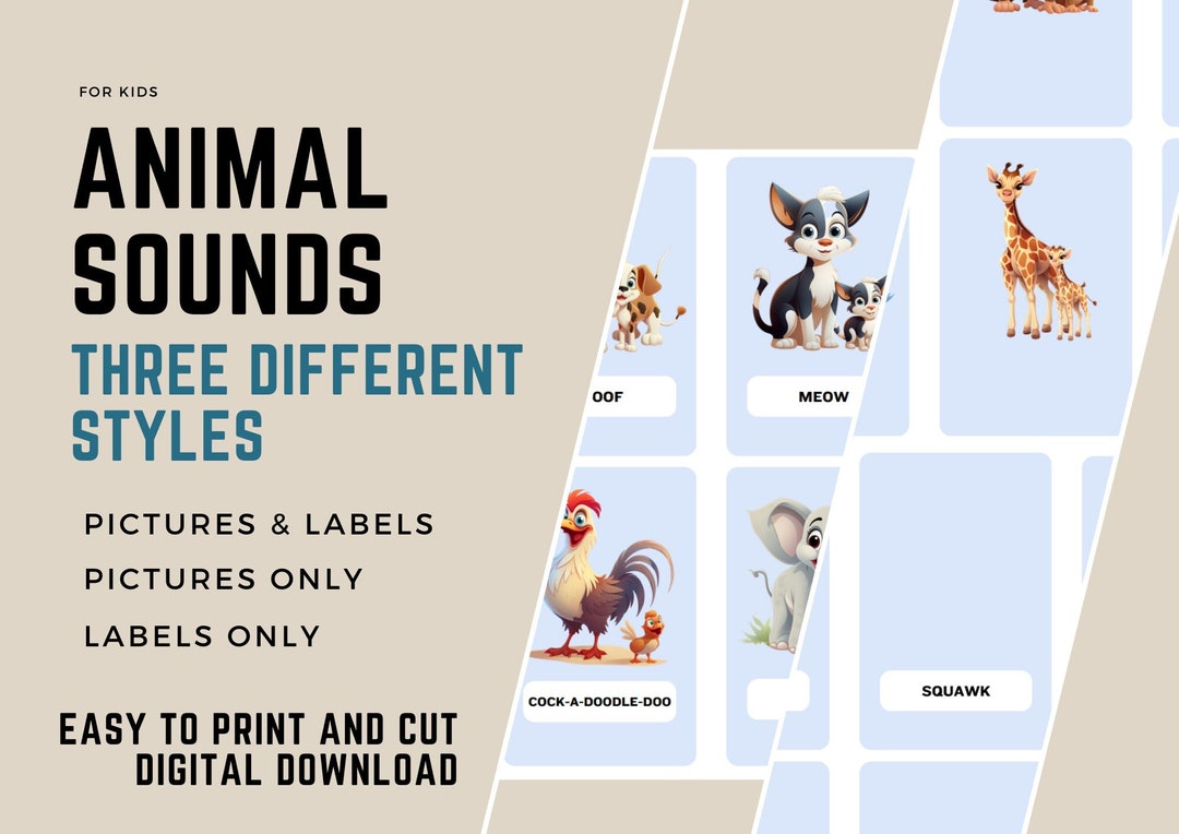 Flash Cards for Kids - Animal Sounds Flash Cards - Educational Learning ...