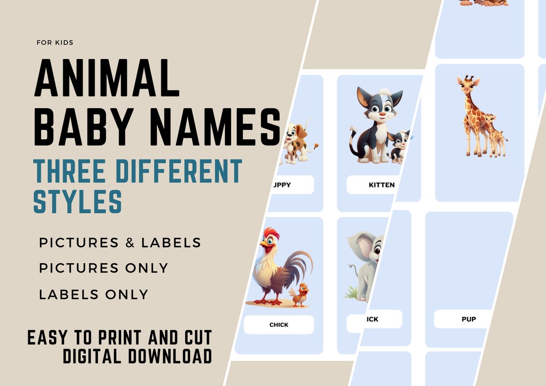 Flash Cards for Kids - Animal Baby Names Flash Cards - Educational ...