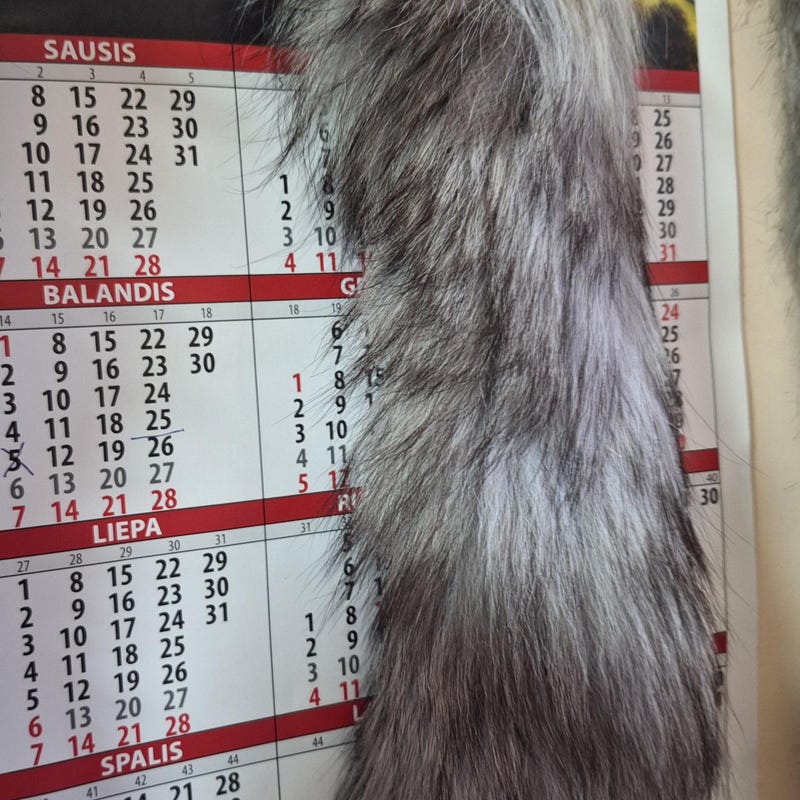 Fake Tails for Therians - Etsy